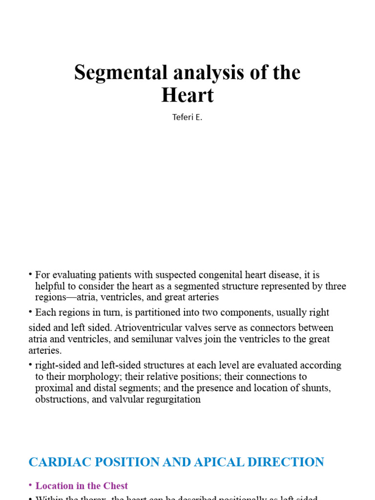 Segmental An | PDF | Heart | Atrium (Heart)