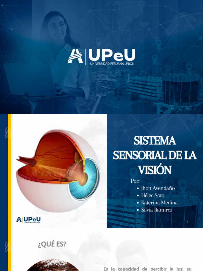 ANATOMÍA DEL OJO | Descargar gratis PDF | Ojo humano | Percepción visual