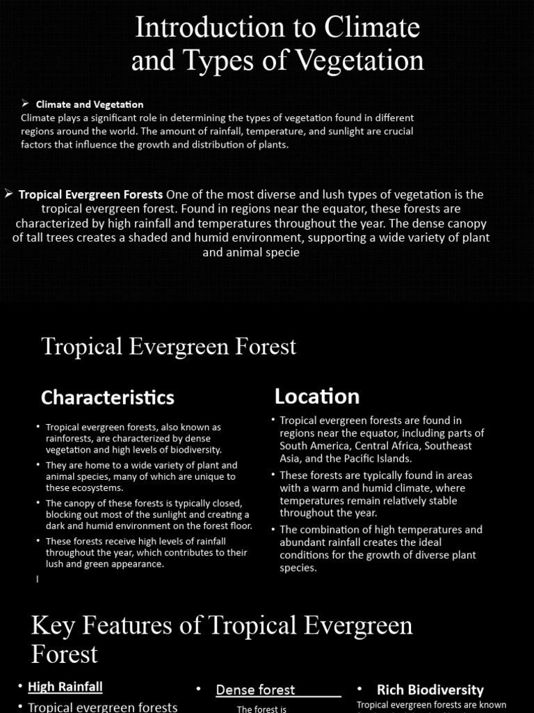 Introduction to Climate and Types of Vegetation | PDF | Forests | Tropics