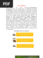 Triptico de La Abeja | PDF | Abejas | Insectos