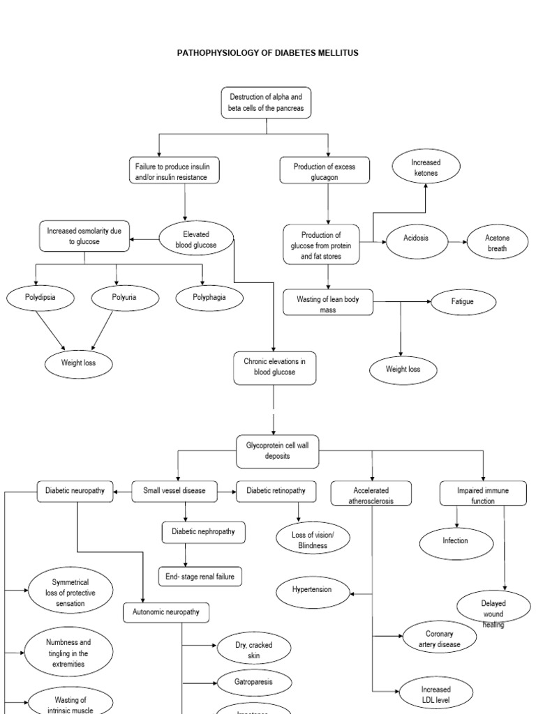 Pathophysiology Dm-Naval | PDF | Diabetes | Human Diseases And Disorders