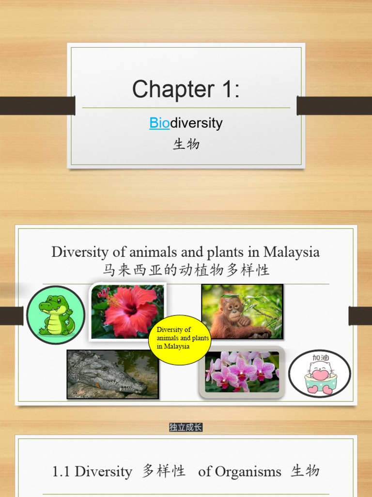 Science Chapter 1： Biodiversity | PDF