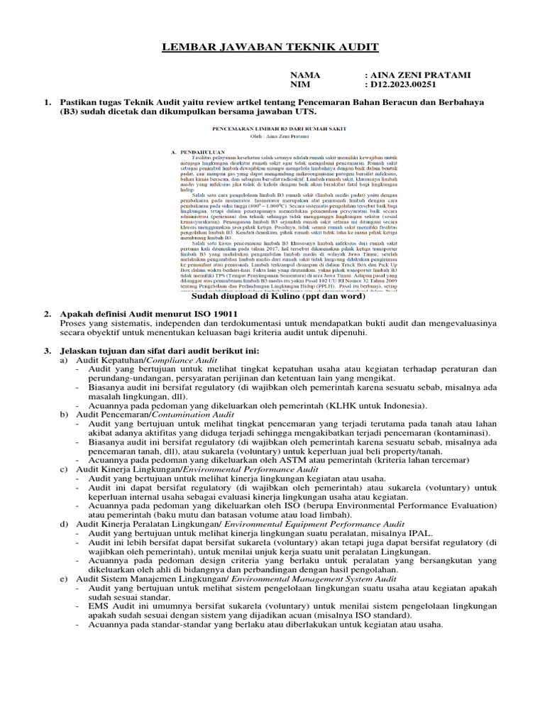 Teknik Audit dan Lingkungan | PDF