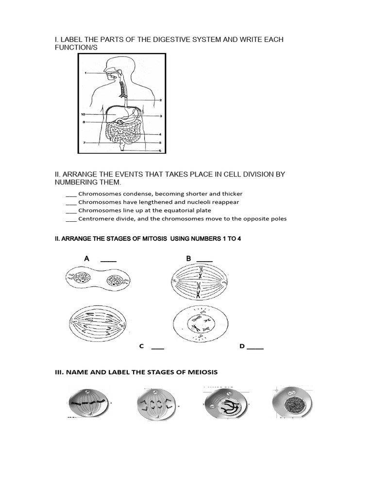 Biology Study Guide for Students | PDF