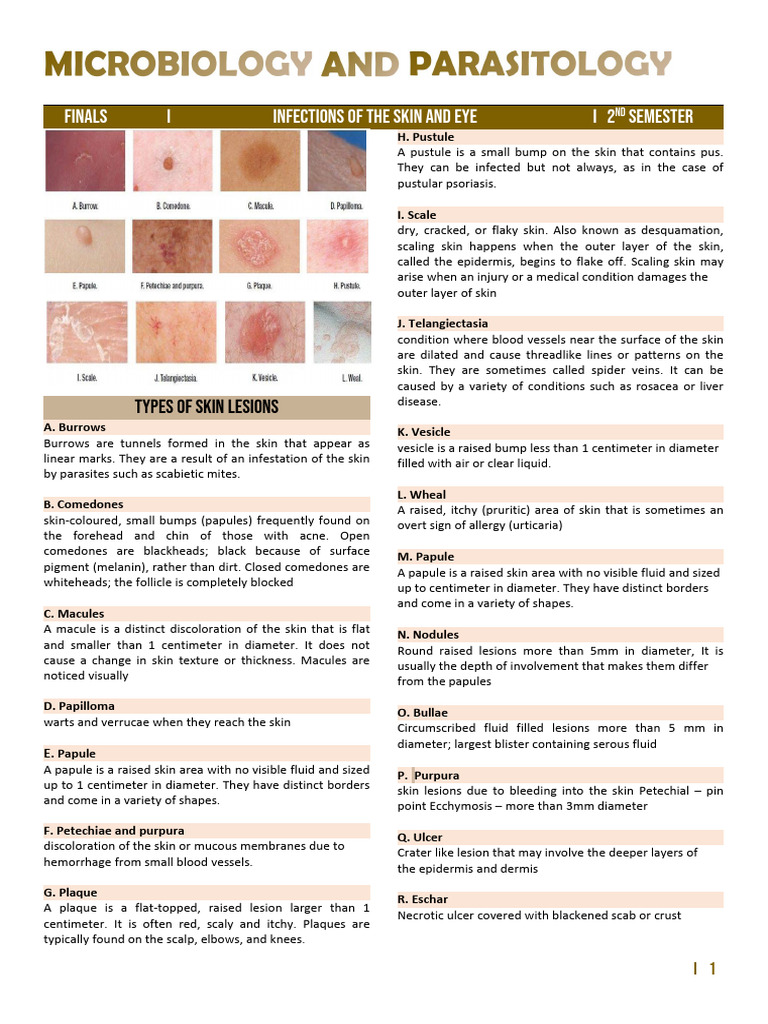 Infections of The Skin and Eye | PDF | Measles | Pseudomonas Aeruginosa