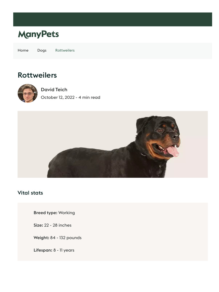 Article 1 | PDF | Dogs | Dog Breeds