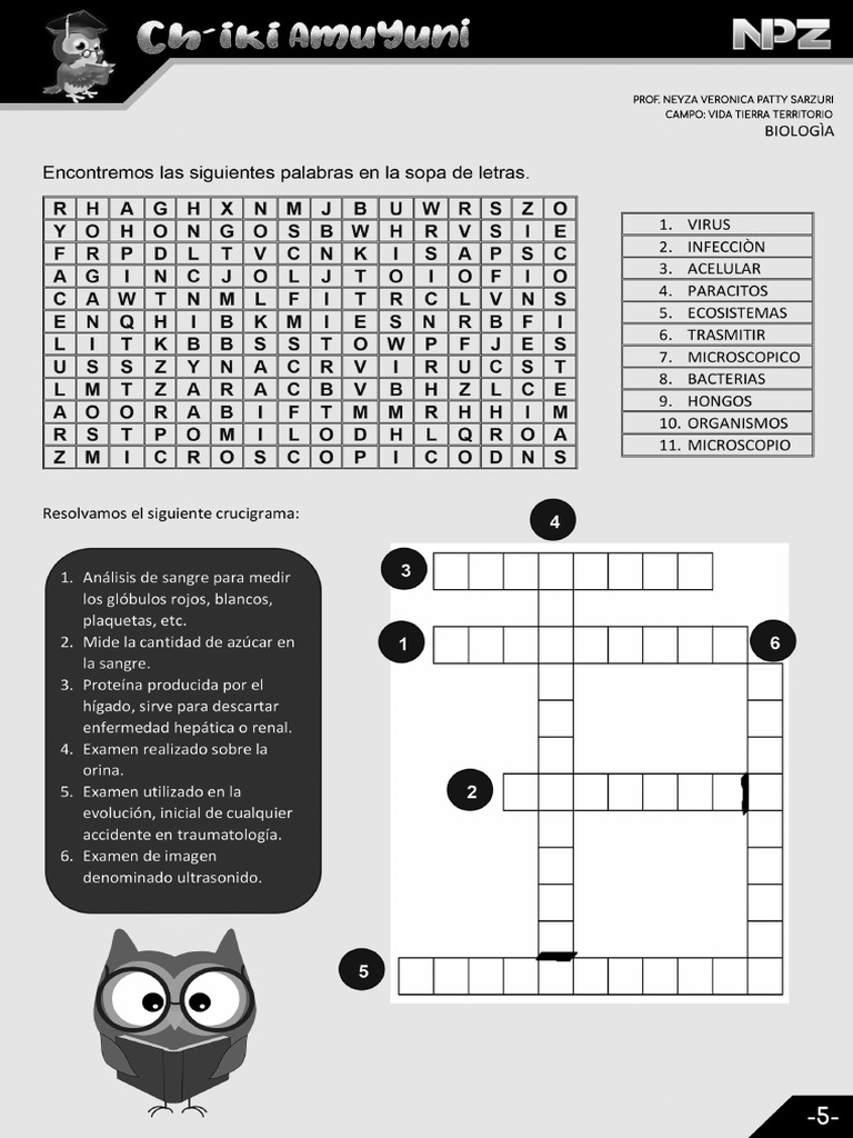 Crucigrama Biologia Pdf