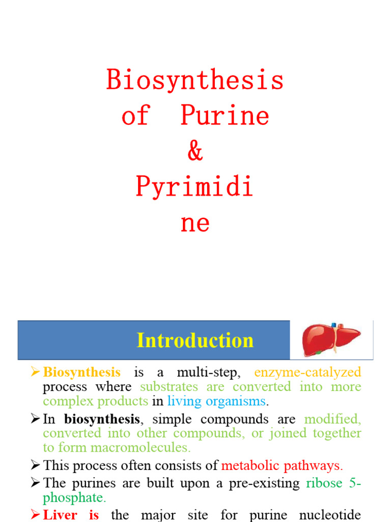 Purine and Pyrimidine Biosynthesis Overview | PDF | Biosynthesis ...