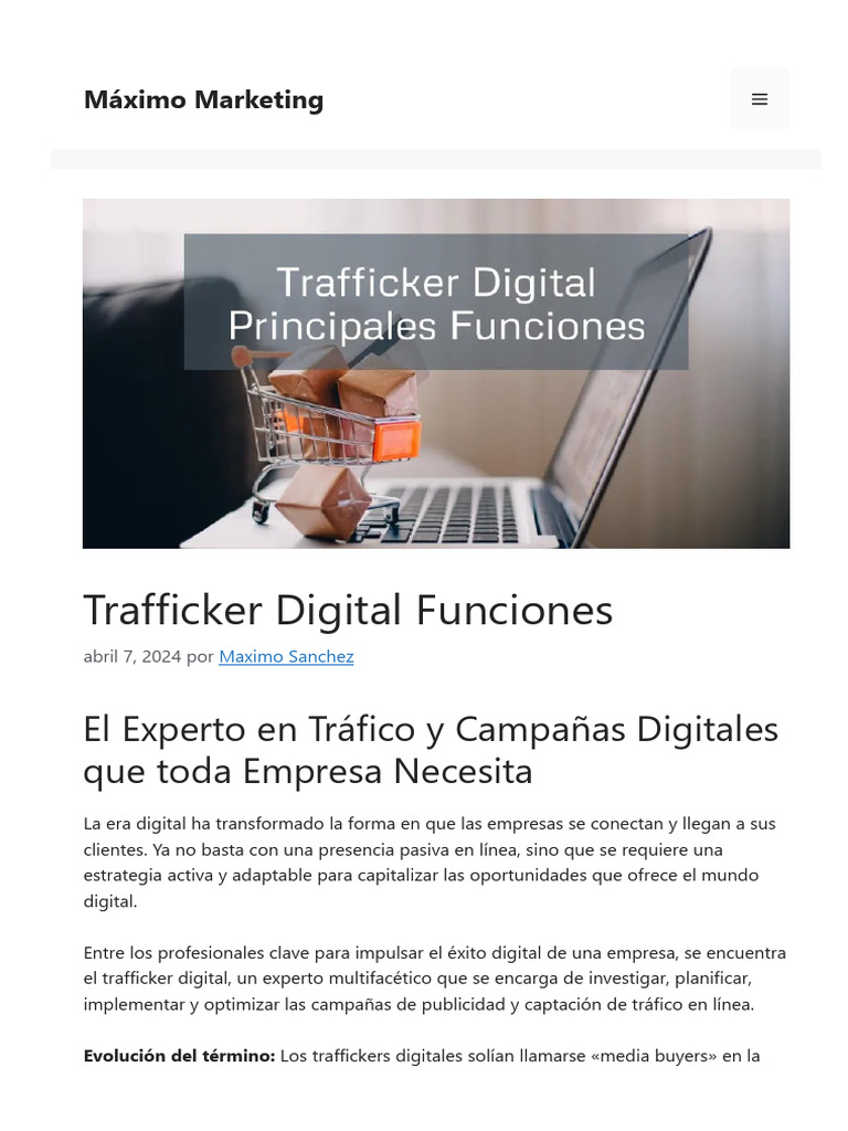 Funciones del Trafficker Digital | PDF | Publicidad digital | Comercio electrónico