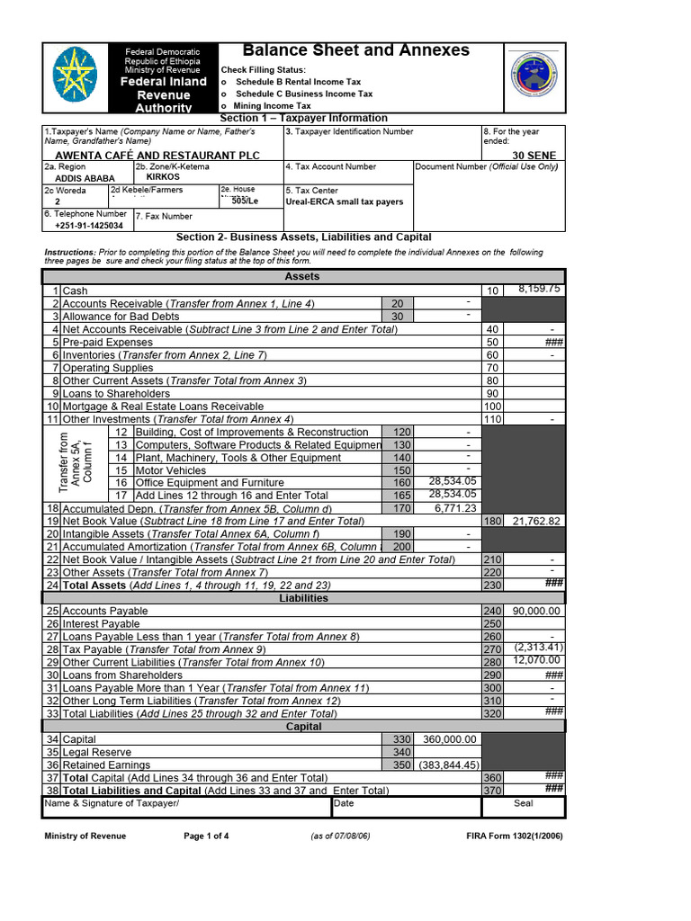 Balance Sheet Template | PDF | Book Value | Balance Sheet