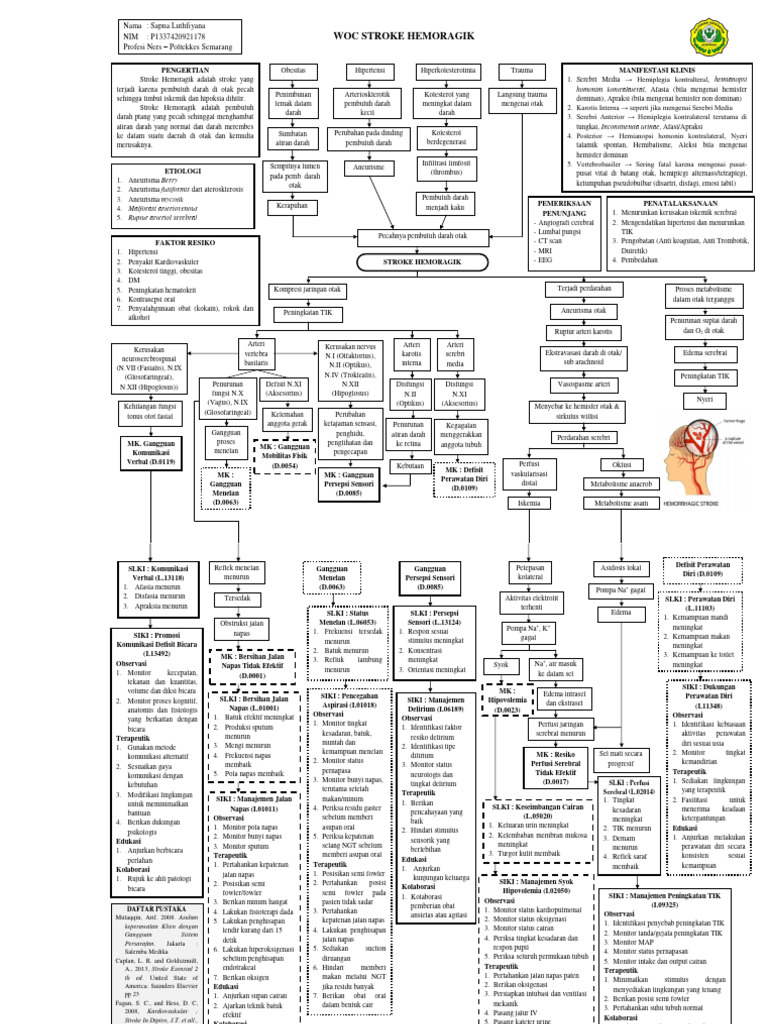 Woc Stroke Hemoragik - Minggu 1 - Sapna Luthfiyana | PDF