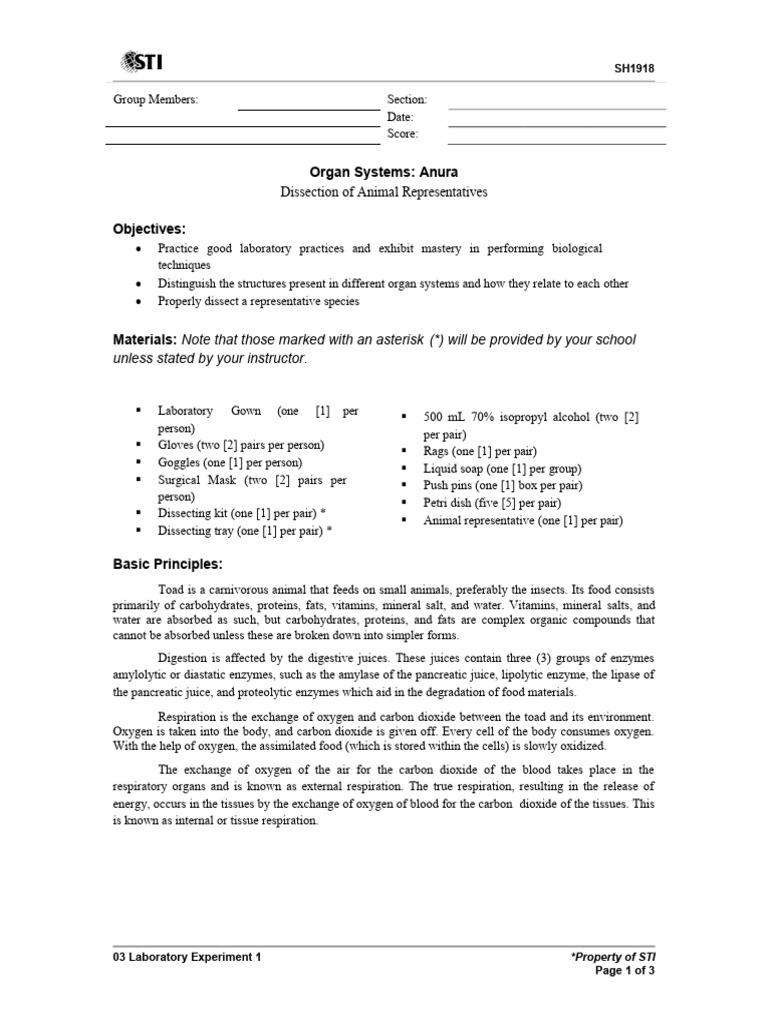 DISSECTION | PDF | Frog | Respiratory System