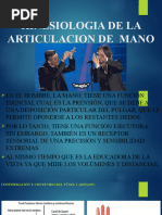 Intervalo Rotador | PDF | Hombro | Extremidades (anatomía)