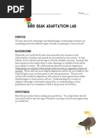 14 Answer Key Beaks of Finches Lab | PDF | Adaptation | Natural Selection