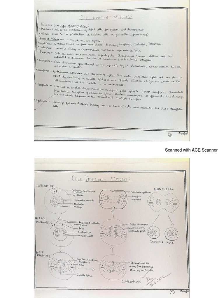 Biology Record | PDF