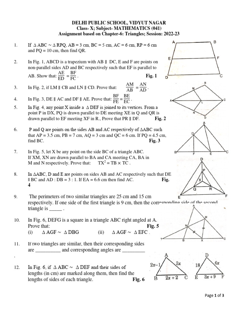 Class 10 Triangles Assignment PDF | PDF | Triangle | Area