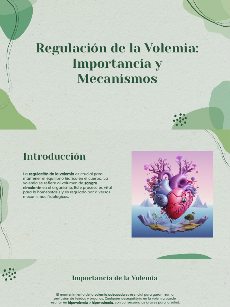 Slidesgo Regulacion de La Volemia Importancia y Mecanismos ...