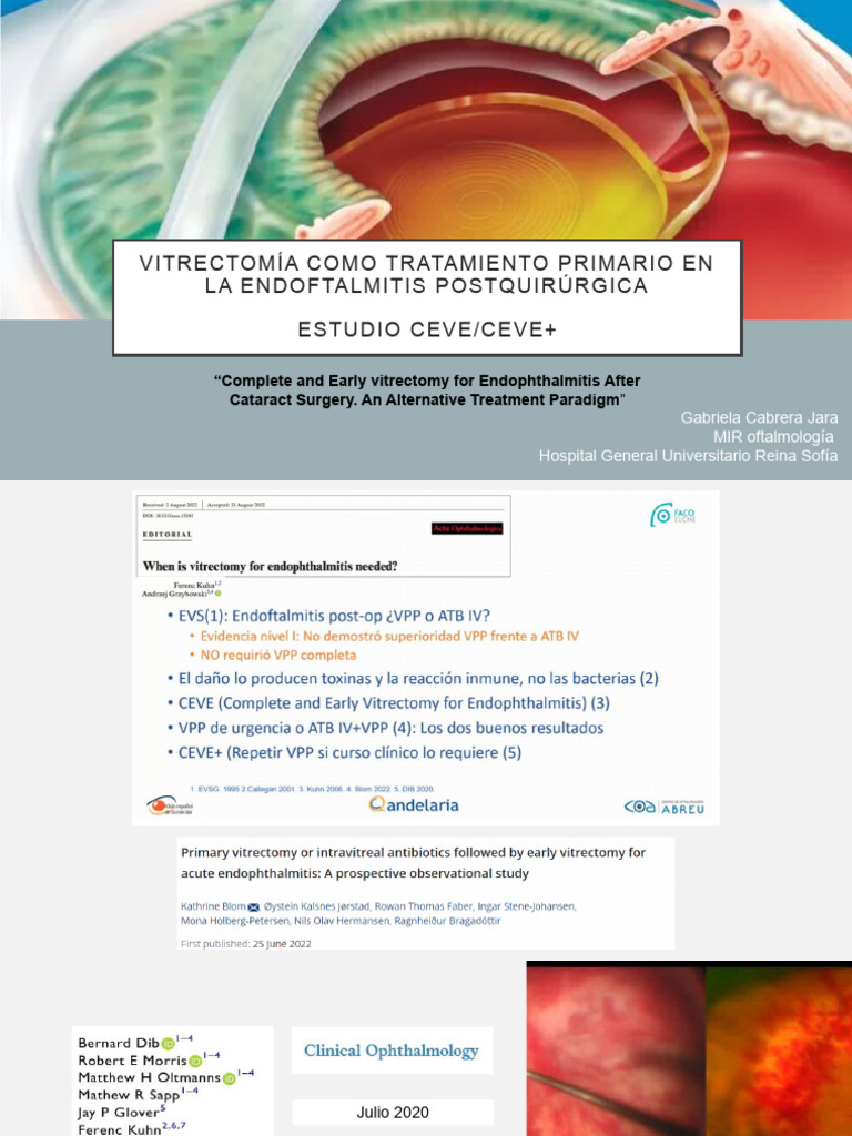 Estudio CEVE | PDF | Ojo humano | Enfermedades y trastornos humanos