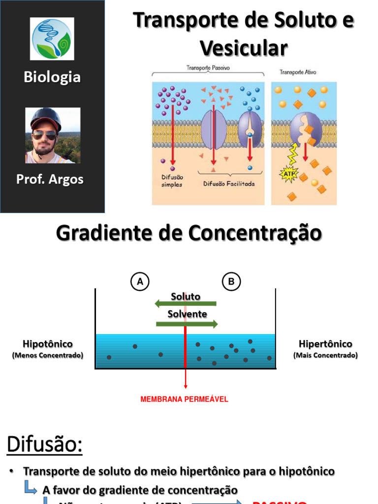 Aula 16 - Transporte de Soluto e Transporte Vesicular | Download grátis ...