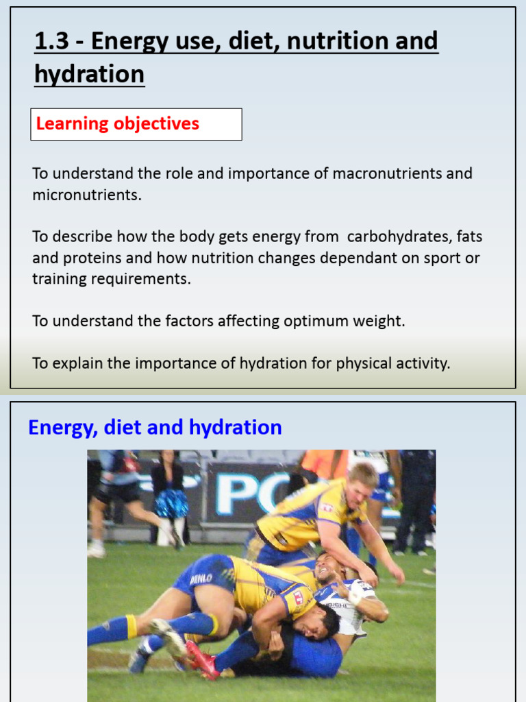 1.3 - Energy Use, Diet, Nutrition and Hydration | PDF | Nutrients | Dieting
