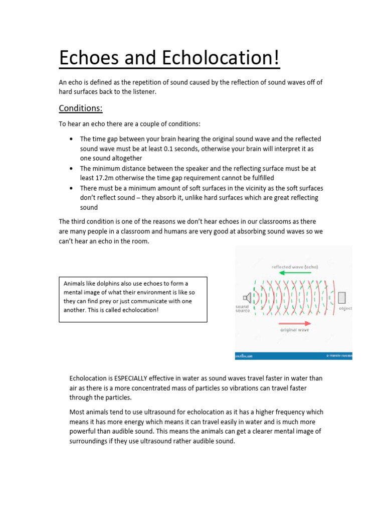 Echoes and Echolocation (Copy) | PDF | Language Arts & Discipline