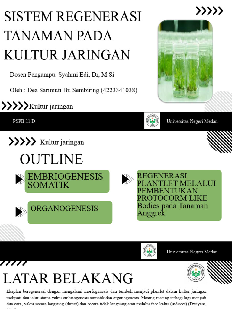 Regenerasi Tanaman dalam Kultur Jaringan | PDF | Sains & Matematika