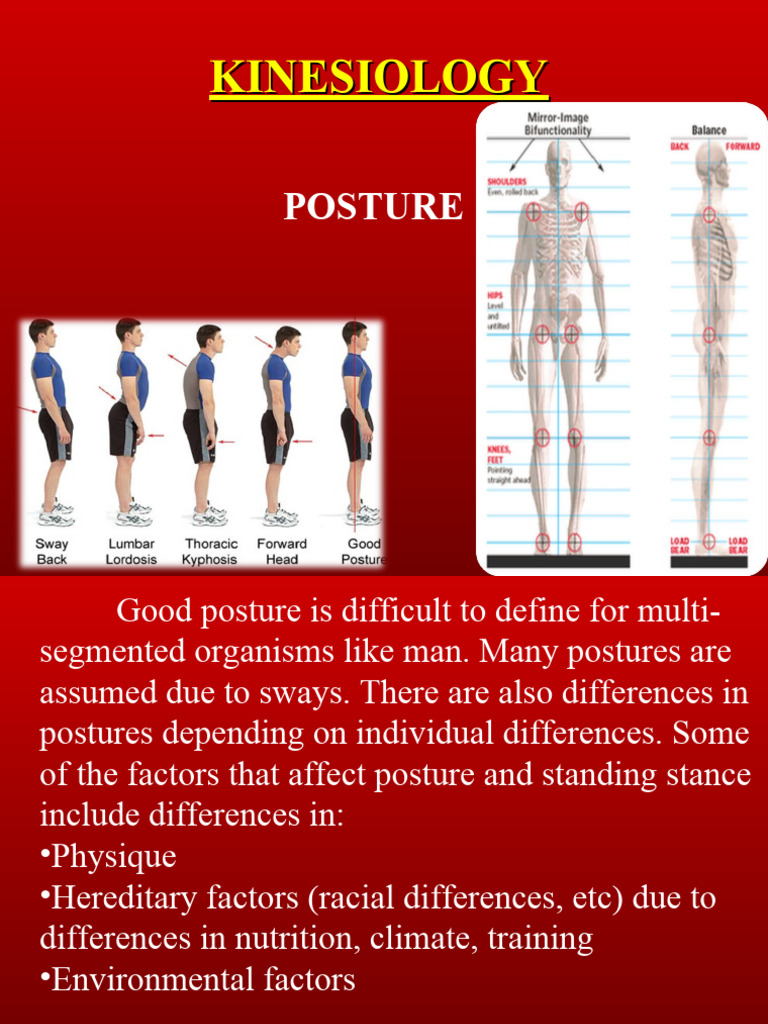 Understanding Posture in Kinesiology | PDF | Skeleton | Vertebral Column