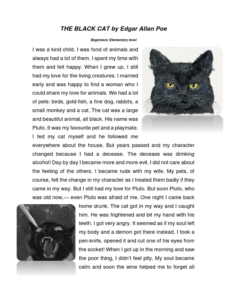 The Black Cat: A Tale of Guilt | PDF