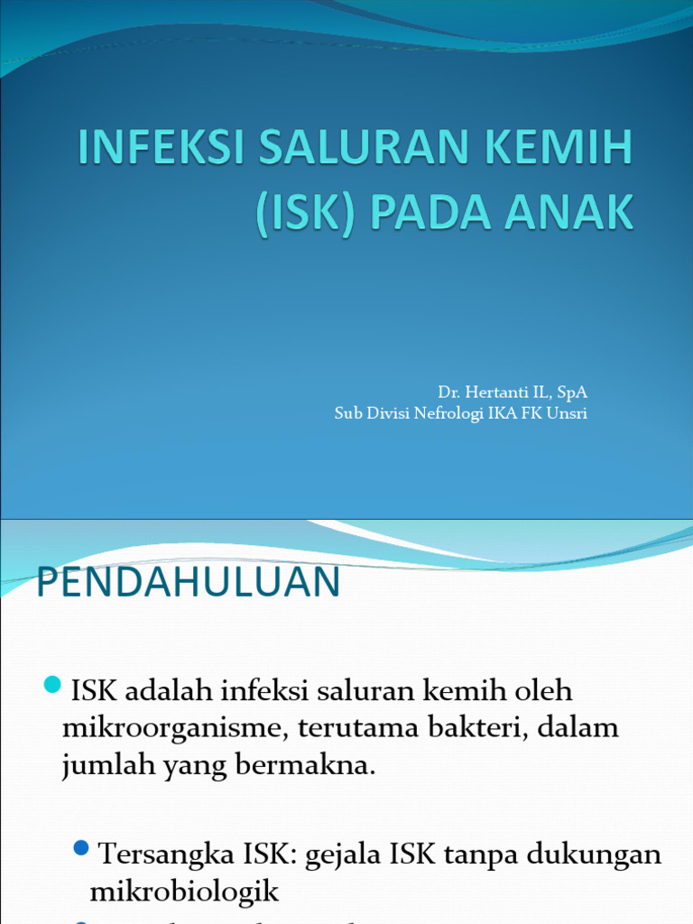 17 INFEKSI SALURAN KEMIH (ISK) PADA ANAK Blok 18 | PDF