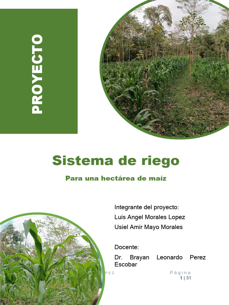 Proyecto de sistema de riego para maíz | Descargar gratis PDF | Riego | Agricultura