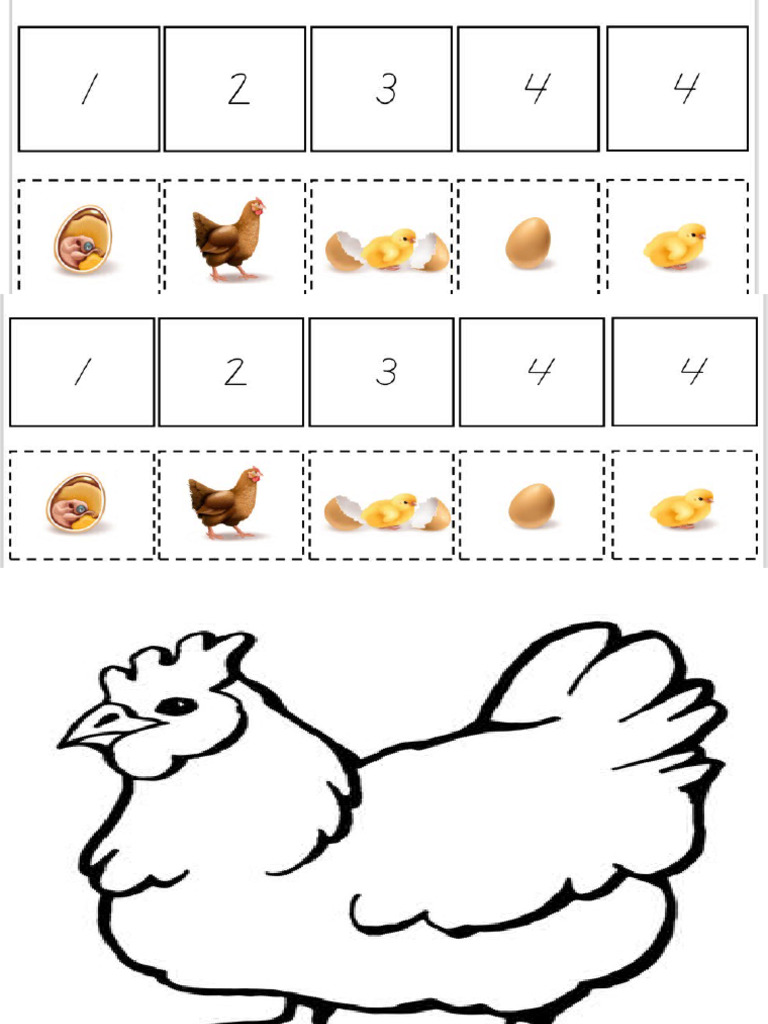 Gallina | PDF