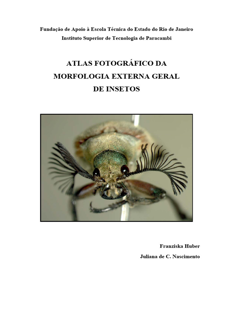 Atlas Fotográfico Da Morfologia Externa Dos Insetos | PDF | Insetos ...