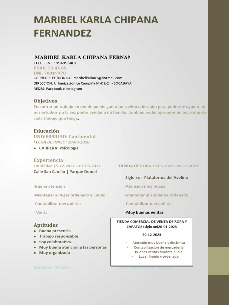 Maribel Karla Chipana Fernandez Curriculum Vitae II | PDF