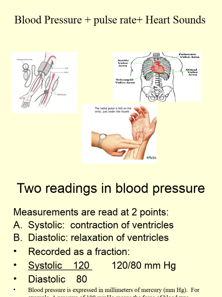 Blood Pressure, Pulse Rate, and Heart Sounds | PDF | Blood Pressure ...