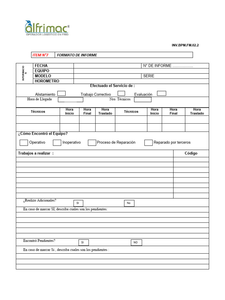 Item N°7 Formato de Informe | PDF