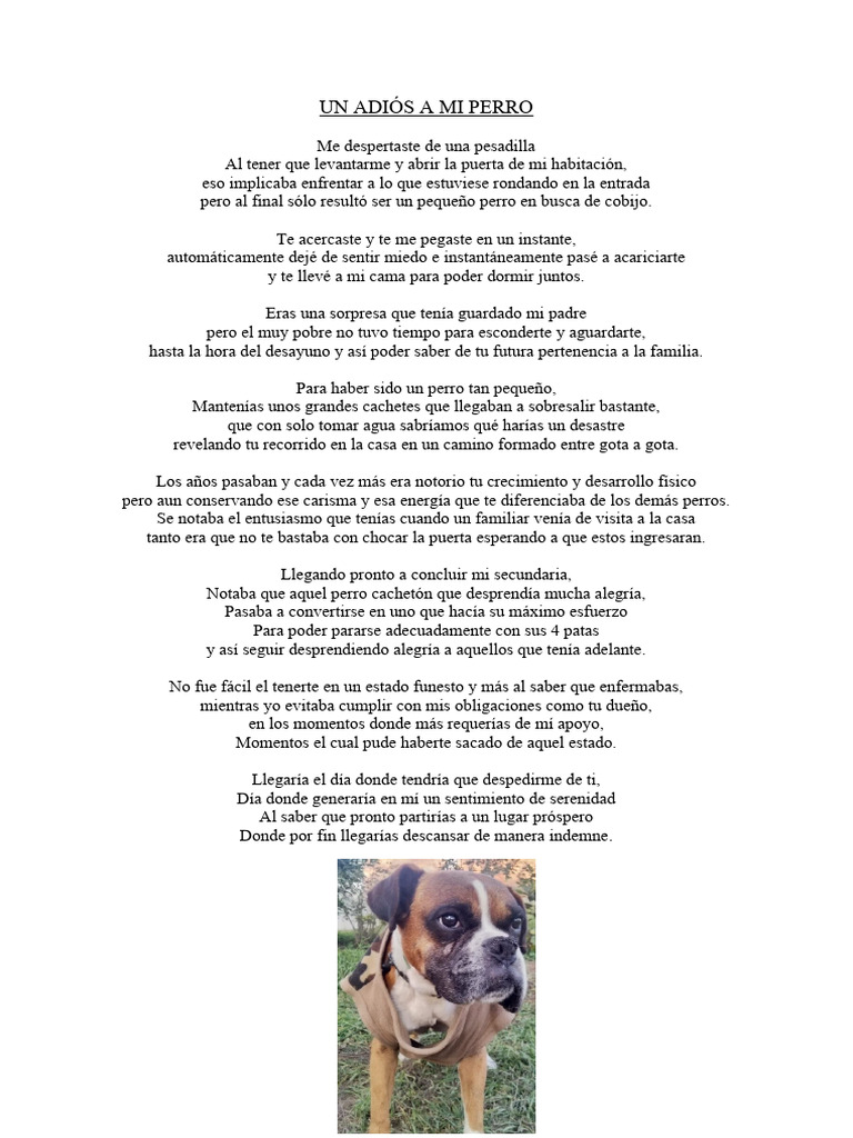 Mi Boxer | PDF | Novela negra, policíaca y suspenso | Poesía