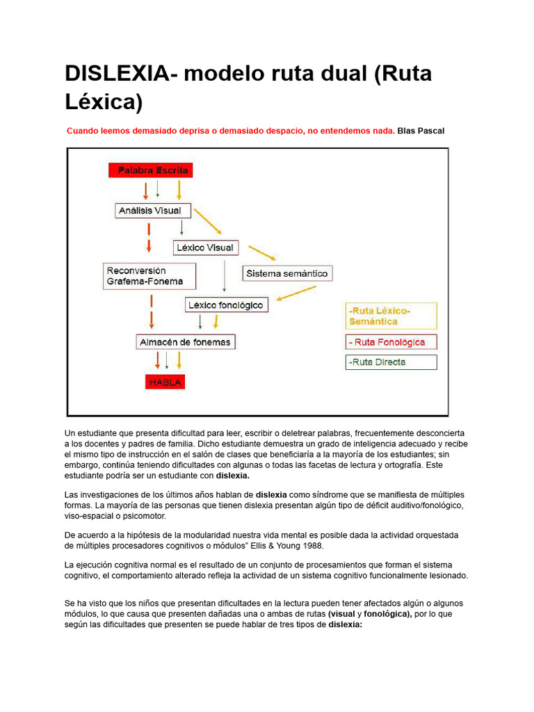 Dislexia y Ruta Léxica en Lectura | PDF | Dislexia | Lingüística