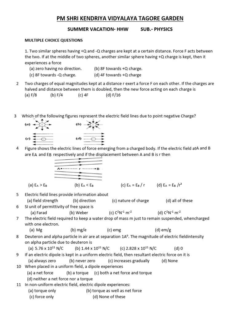 Xii Physics Holiday HW | PDF | Force | Electric Field
