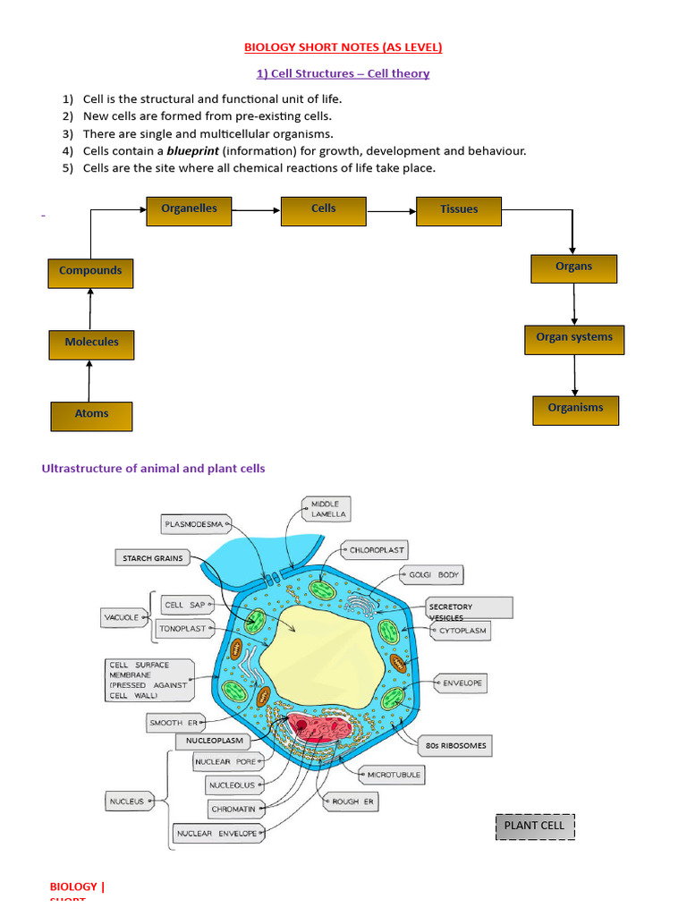 Biology Short Notes | PDF | Cell (Biology) | Endoplasmic Reticulum