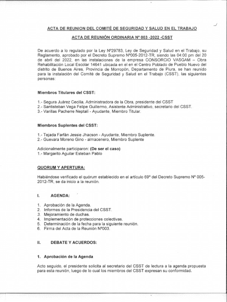 Acta de Reunion 03-CSST | PDF
