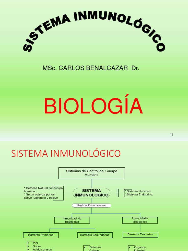S.INMUNO | PDF | Sistema inmune | Linfocitos