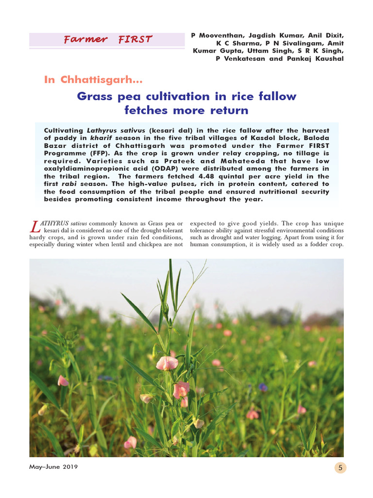 Arka Rakshak Tomato To Solve Farmer Woes | PDF | Agriculture | Crop ...