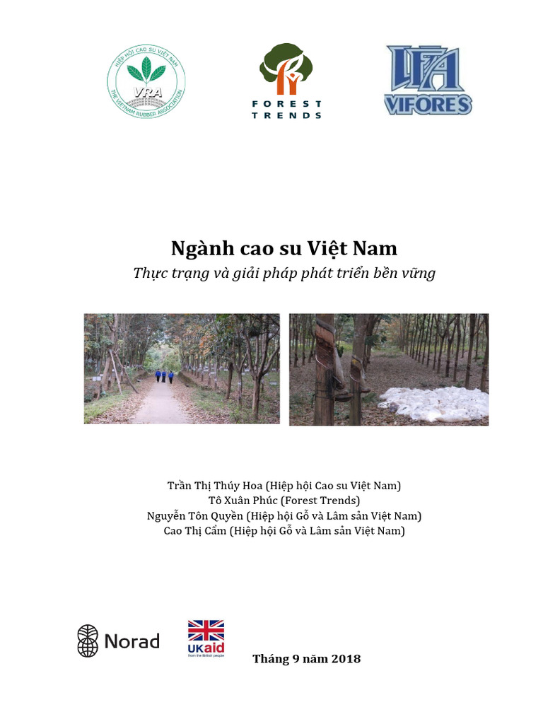 Bao Cao Tong Quan Nganh Cao Su. FN.2018 | PDF