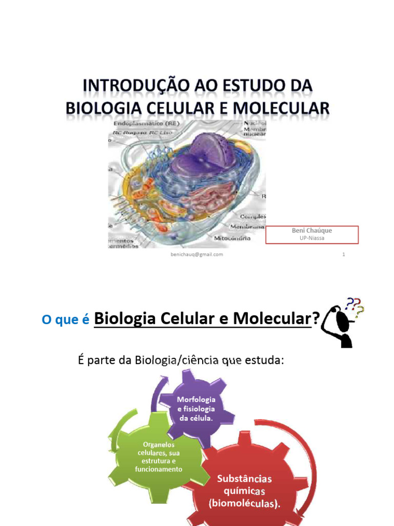 Aula 1. Introducao A BCM - PPTX (Autosaved) | PDF | Célula (Biologia) | Microscópio