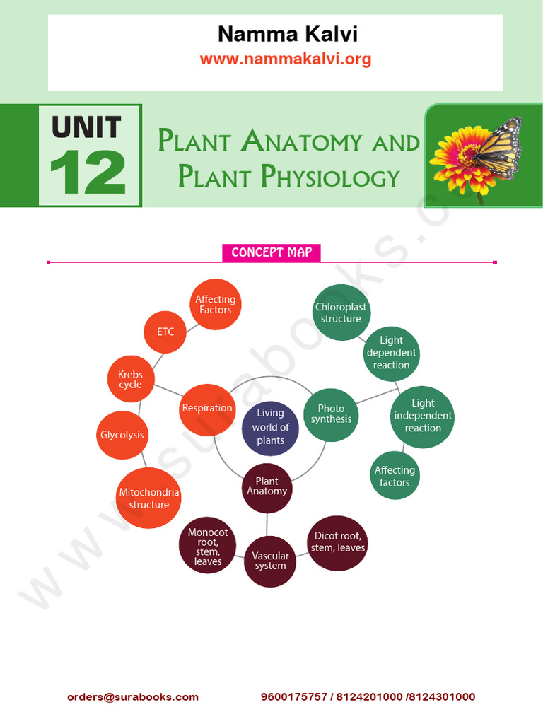 12thpullingo 10th Science Unit 12 To Unit 14 Sura Guide em | PDF | Plant Stem | Chloroplast