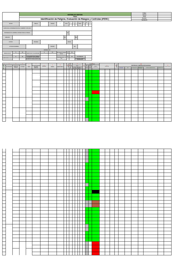 Formato MATRIZ IPER | PDF | Business