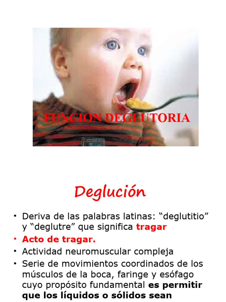 DEGLUCION | PDF | Esófago | Anatomía