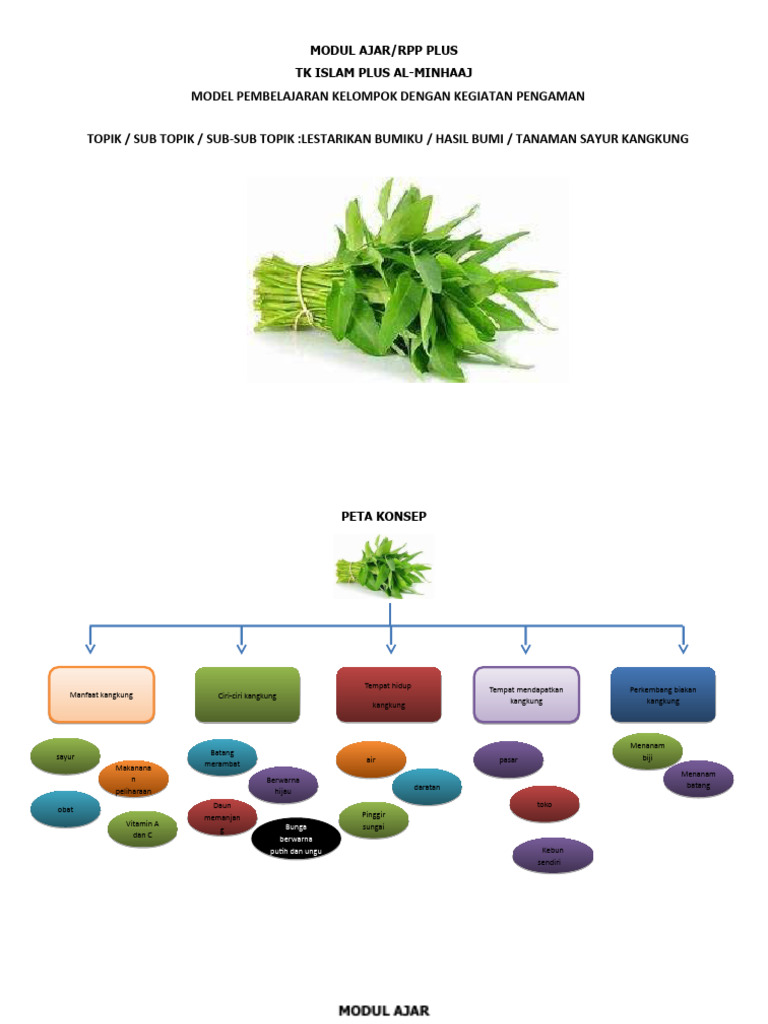 Modul Ajar Kumer TK B 2024 | PDF