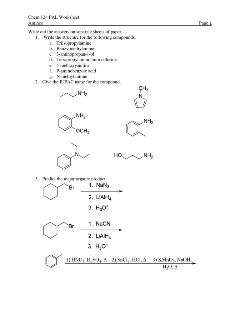 chem-124-pal-worksheet-amines | PDF