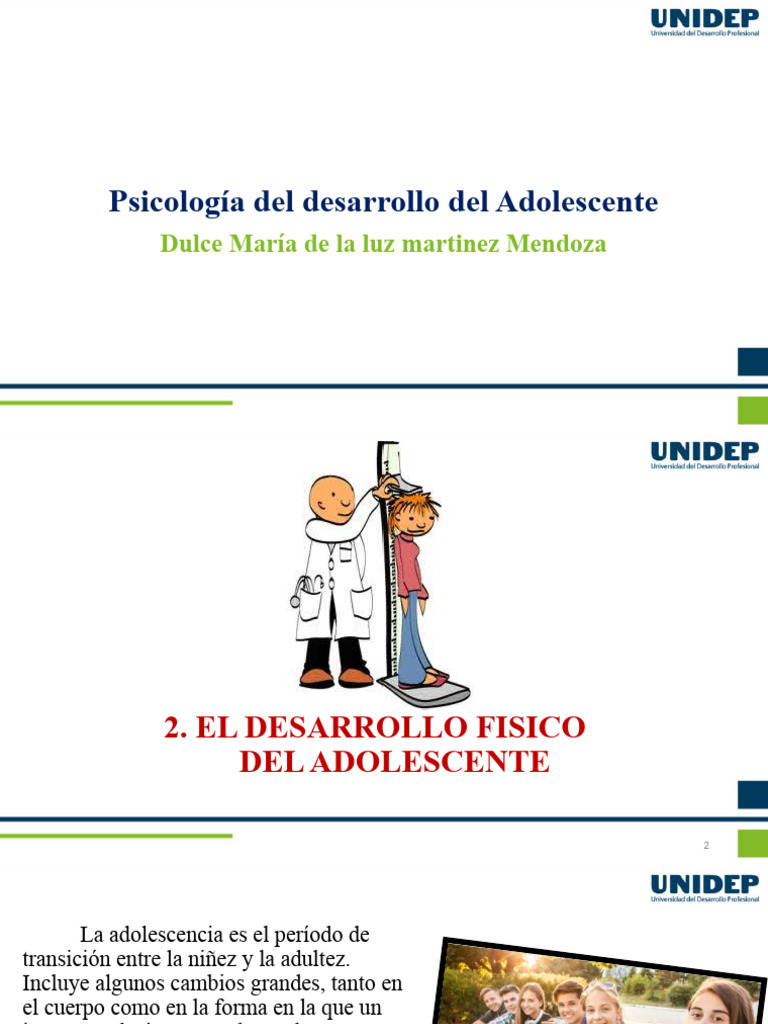2 Desarrollo Fisico Pubertdad | PDF | Andrógino | Adolescencia